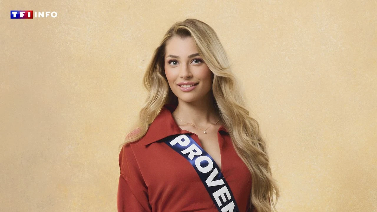 Miss France 2024 - "Je rêve de présenter une émission télé sur la santé ...