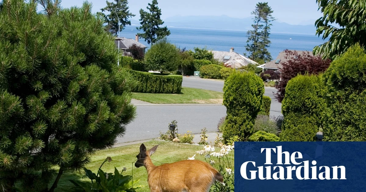 The luxury effect: why you’ll find more wildlife in wealthy areas – and ...